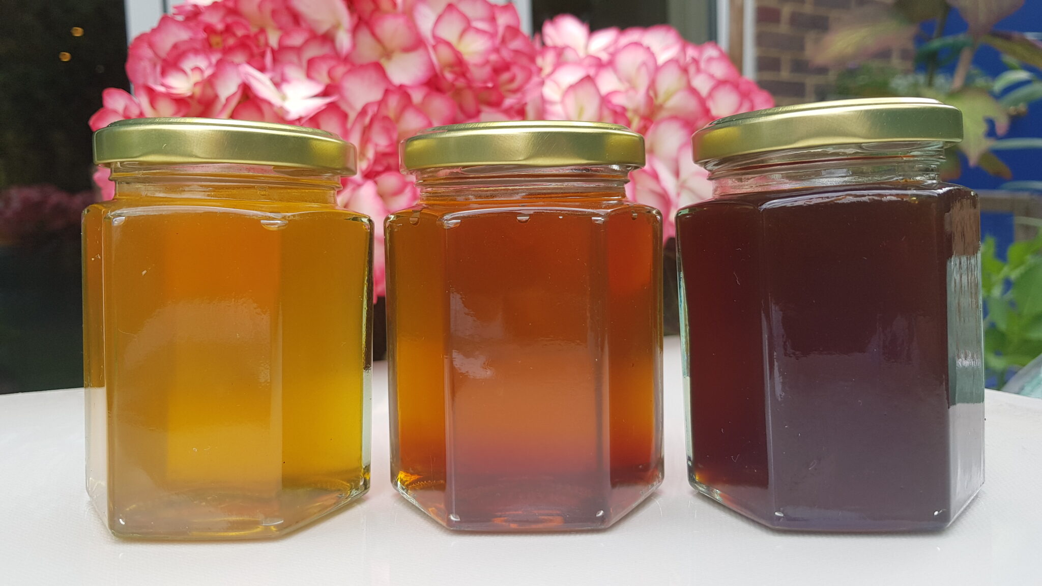 Local honey – New Forest & District Beekeepers